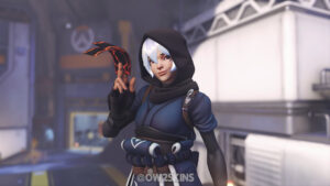 シーズン5で登場する20のスキン・エモートなどのまとめ | OW2NEWS.net